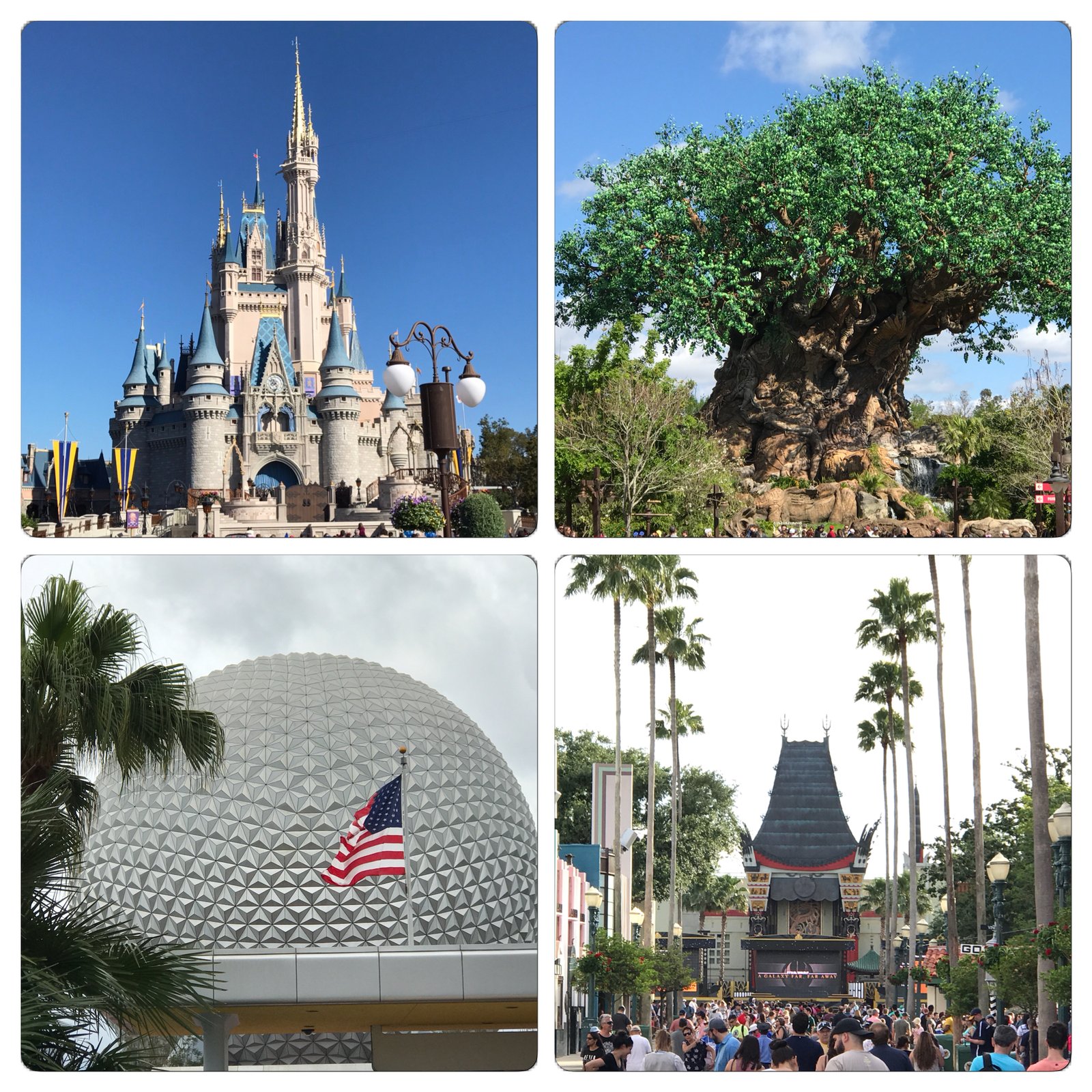 What Disney Over 50 Is All About - Disney Over 50