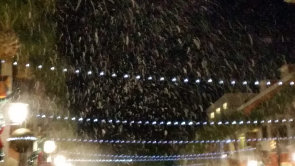 Now Snowing in Celebration, Florida - Disney Over 50
