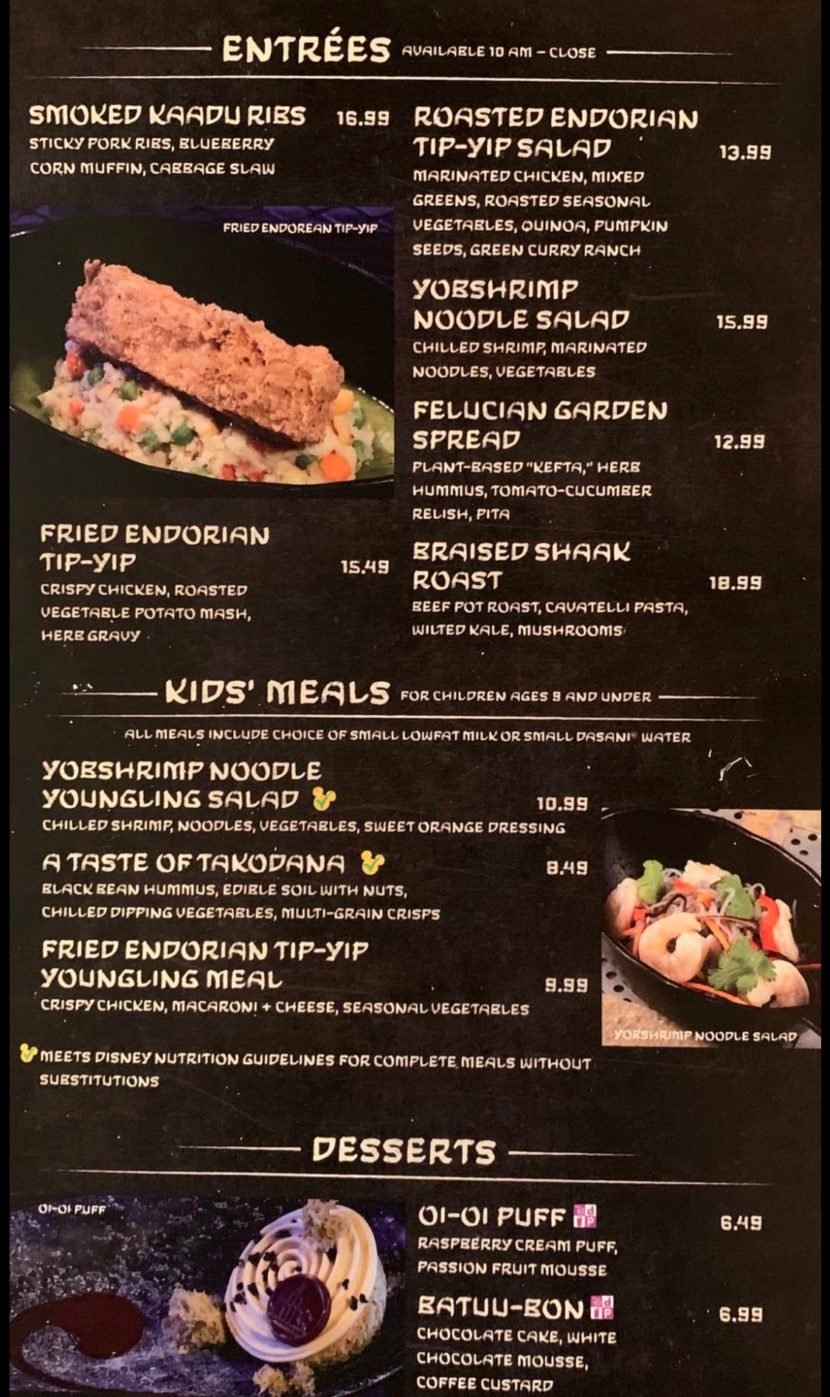 My First Trip to Batuu, Florida Style – Disney Over 50