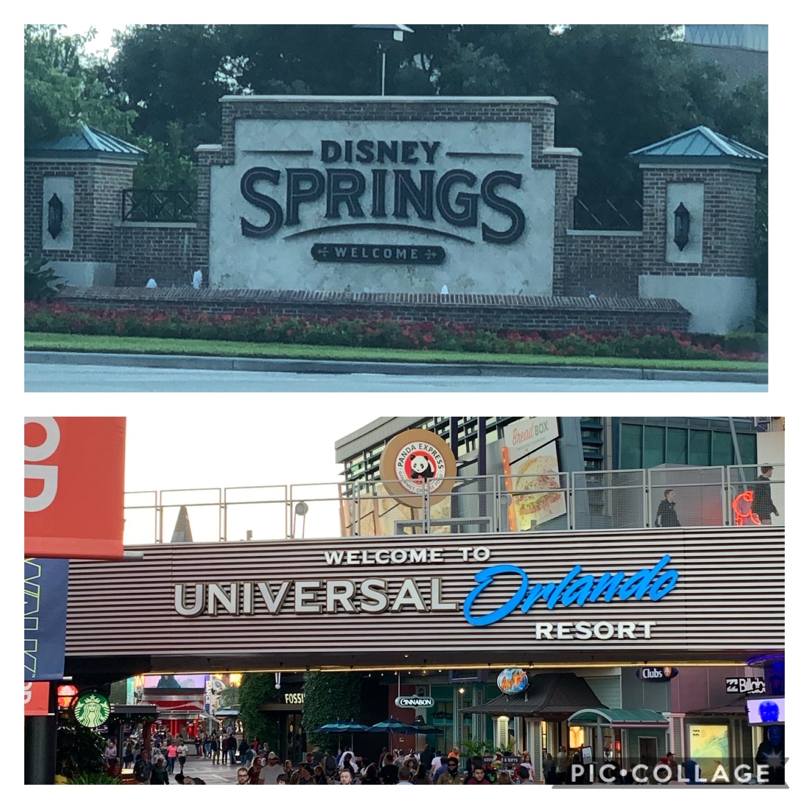 What Will Be Open? - Disney Over 50