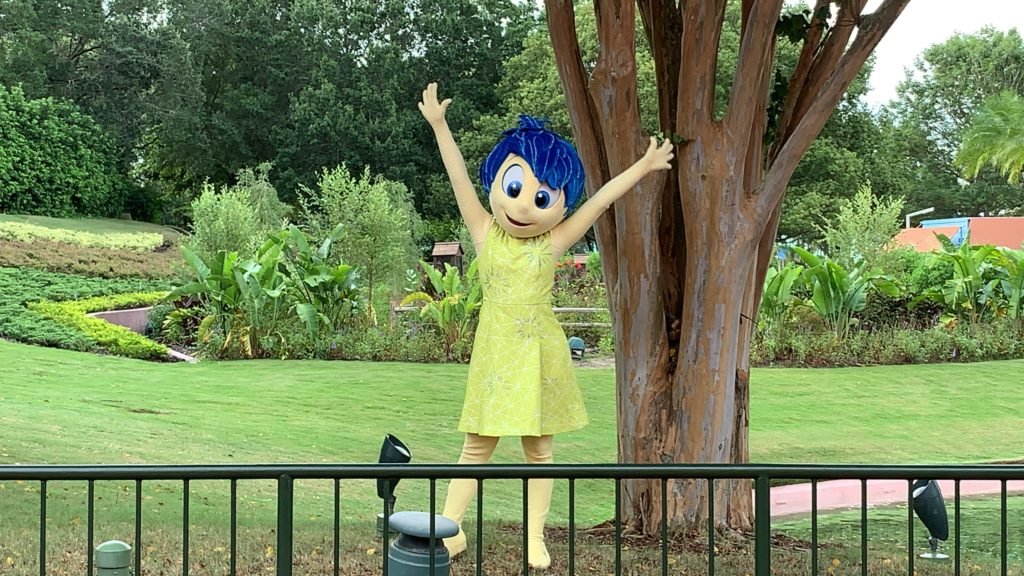Expectations - Disney Over 50