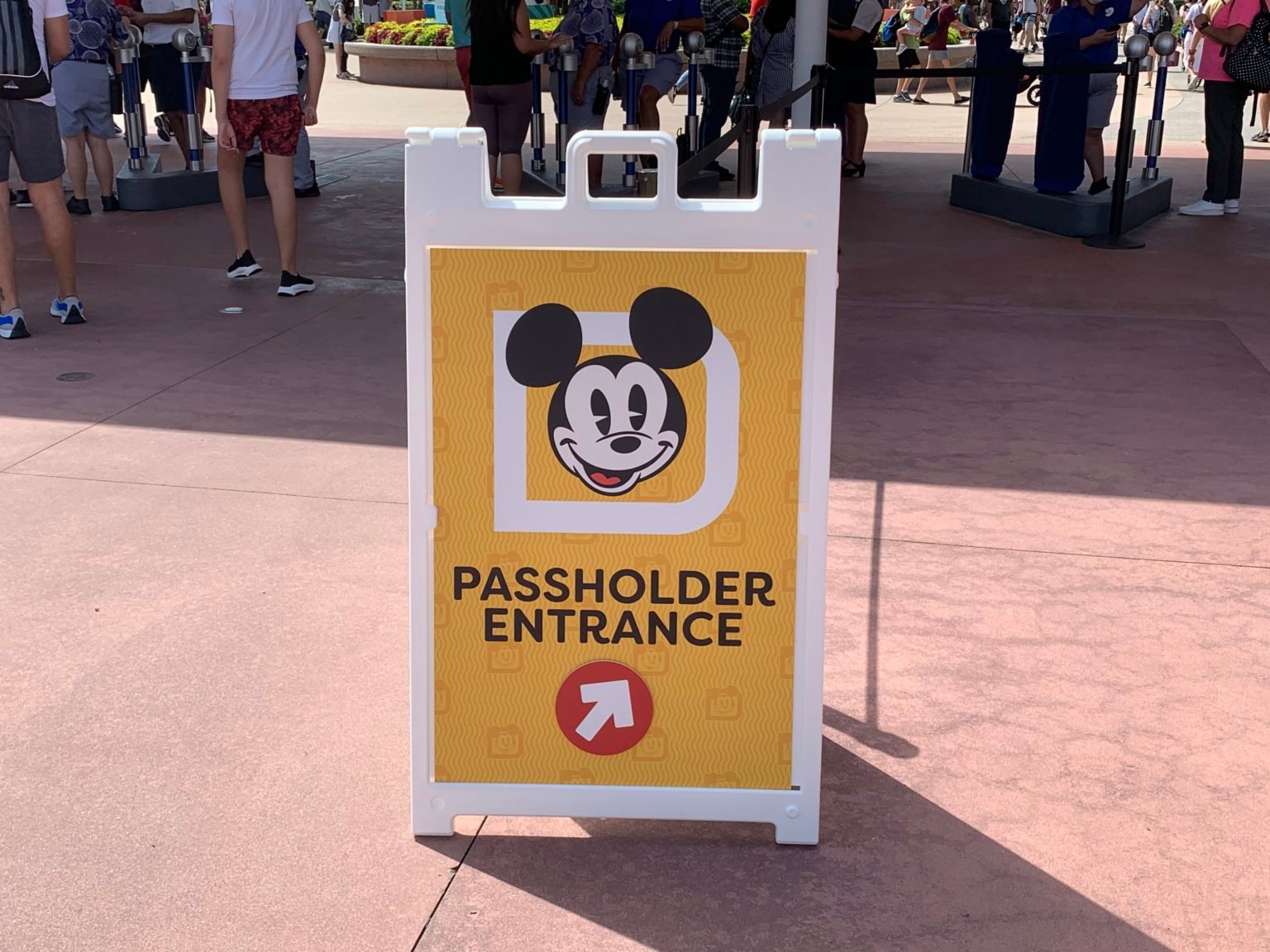 Annual Passes and Upgrades - Disney Over 50