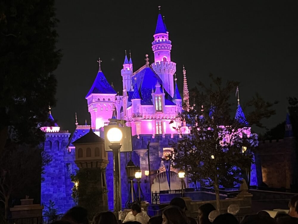 Disneyland Updates - Disney Over 50