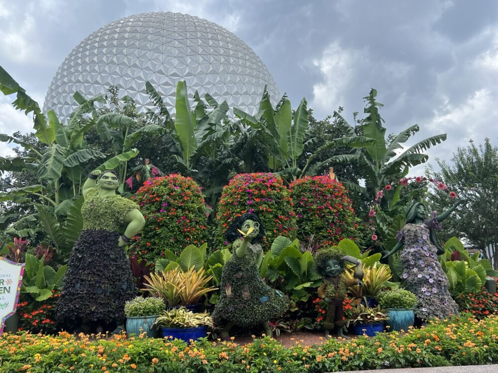 Four Months Later - Disney Over 50