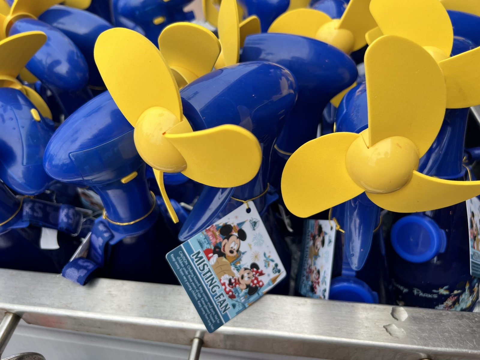 Personal Fans - Disney Over 50
