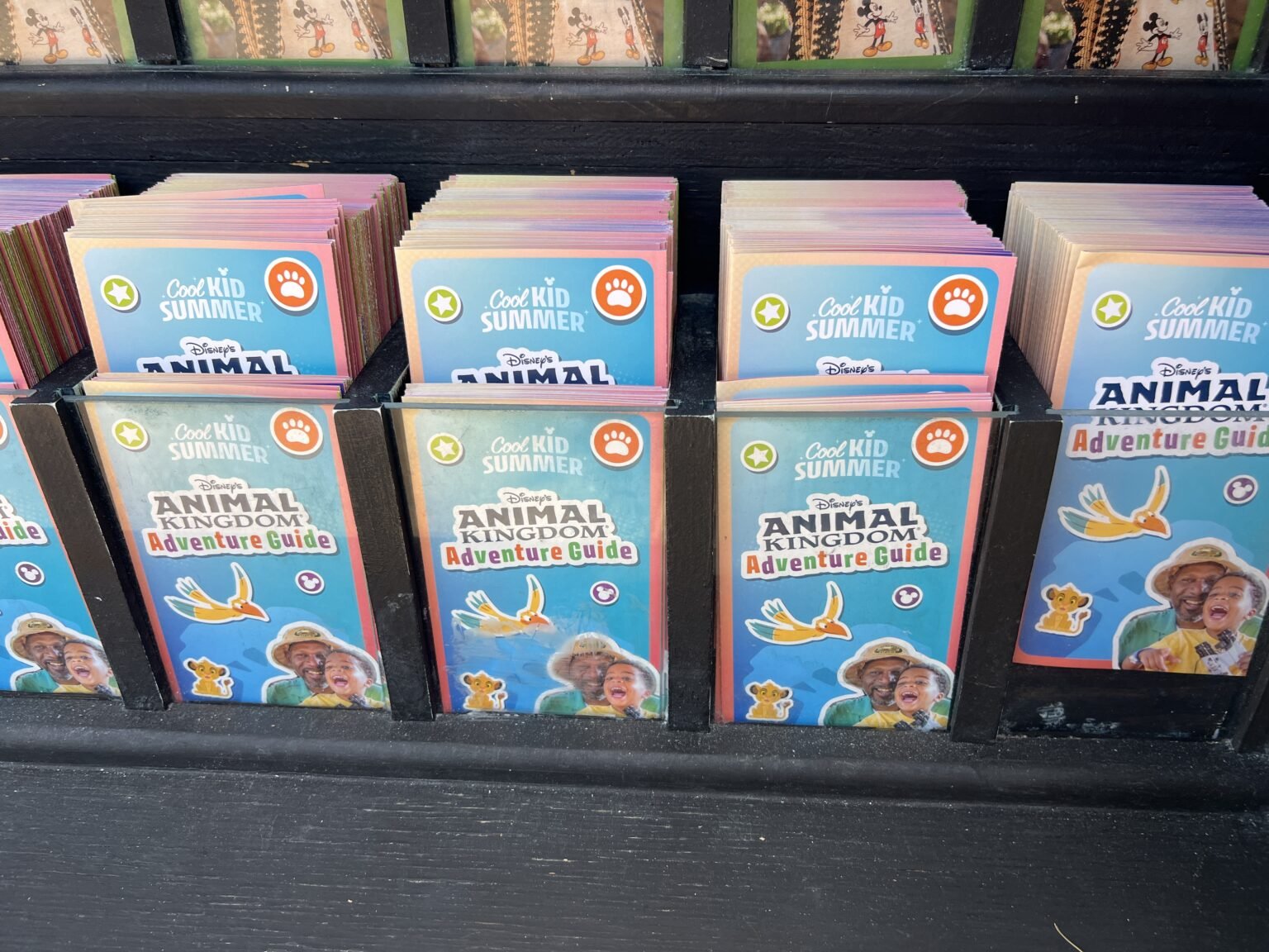 Ten Second Tip: Cool Kid Summer Guides - Disney Over 50