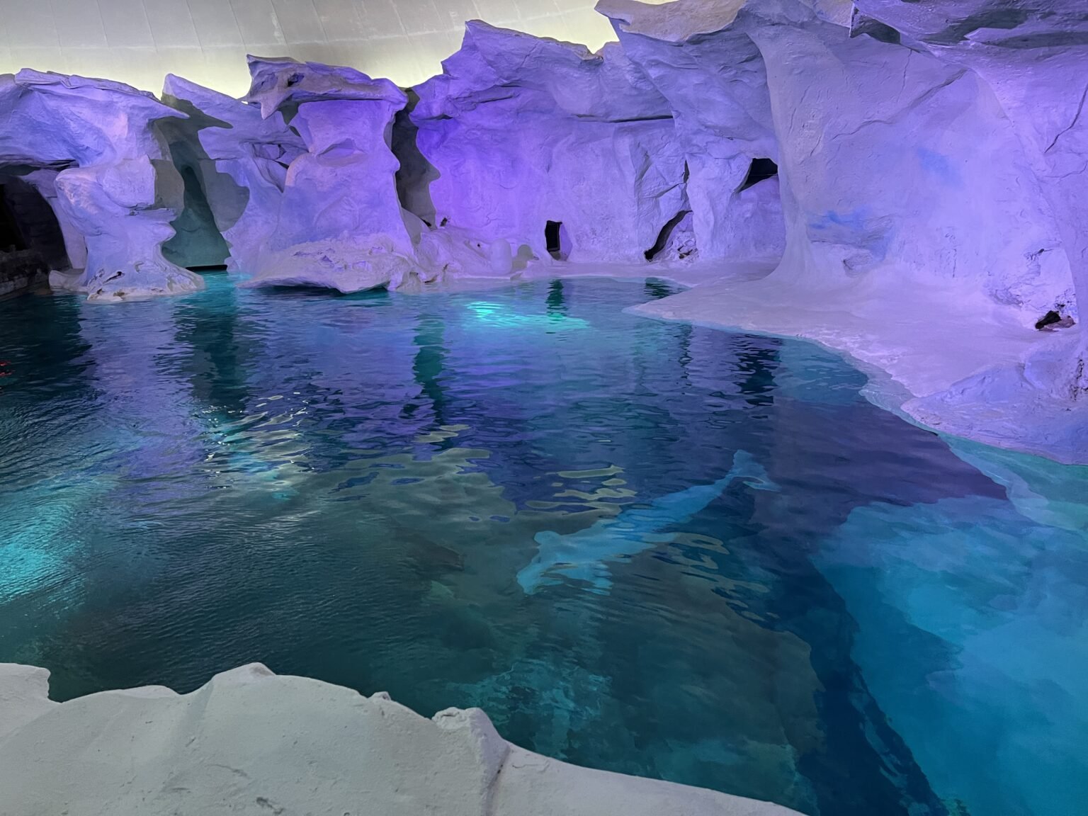 My Spoiler-Free Expedition Odyssey Review - Disney Over 50