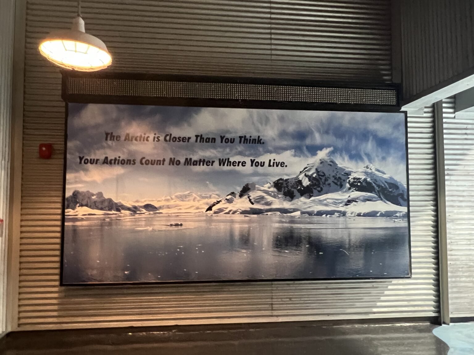 My Spoiler-Free Expedition Odyssey Review - Disney Over 50