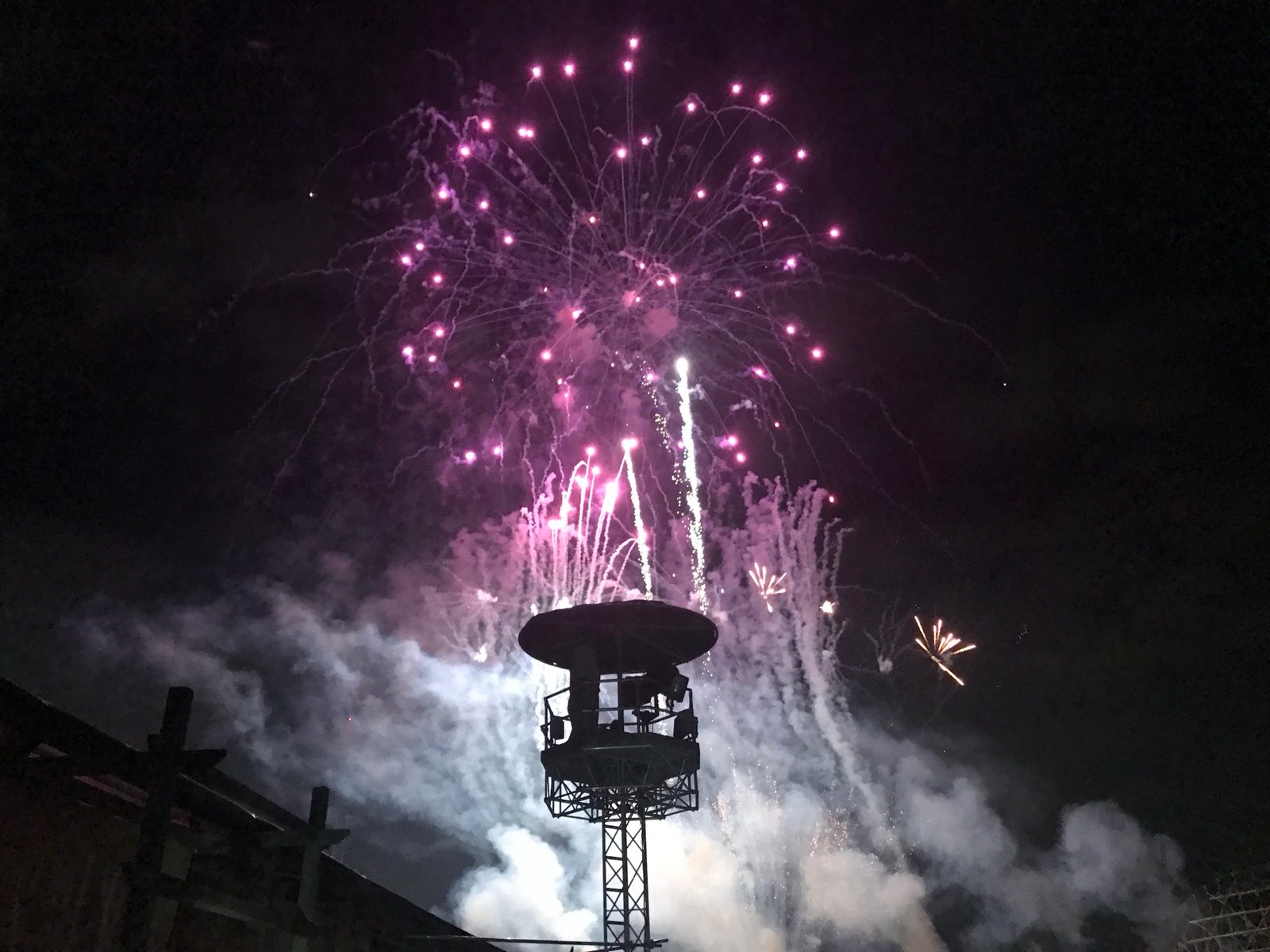 New Year’s Eve Outside of Walt Disney World: Busch Gardens Tampa Bay ...