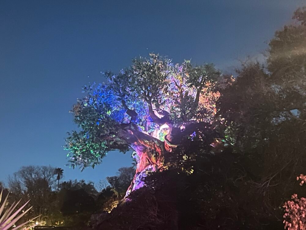 Ten Second Tip: Tree of Life Awakenings and Closing Time - Disney Over 50