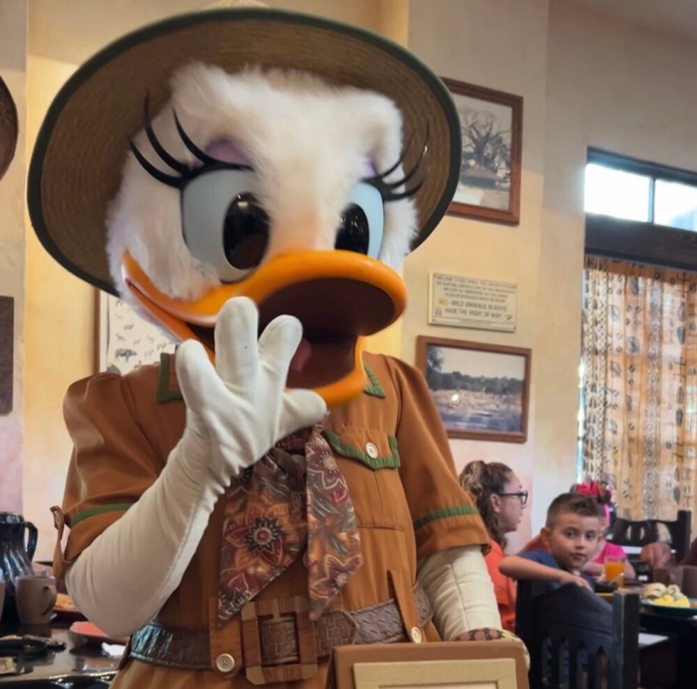 Restaurant Discounts for V.I.Passholder Summer Days - Disney Over 50